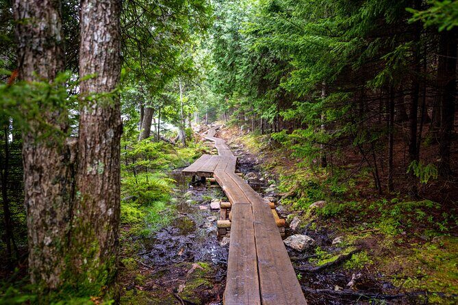 Private Acadia & Mount Desert Island Tour (full day, six hours) - Final Thoughts