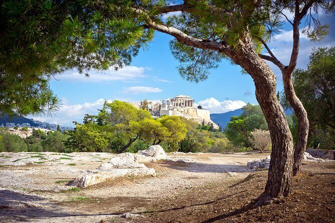 Private Acropolis & New Acropolis Museum for Families - Why Choose This Tour?