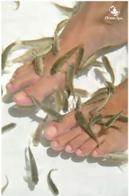 Private: Adults-Only Floating Ocean Spa with Massage & Yoga - Who Should Book This Tour?