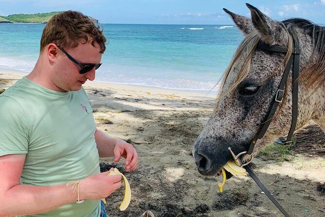 Private Advanced Horseback Beach Ride with Sandy Hoofs St. Lucia - The Sum Up
