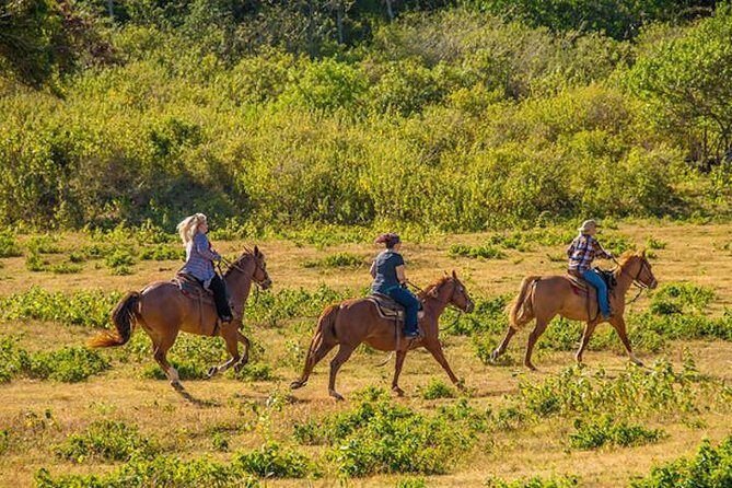 Private Advanced Trail Ride - An In-Depth Look at the Experience