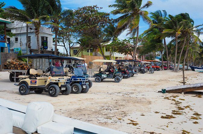 Private Adventure Buggy Tour in Curacao - Who Will Love This Tour?