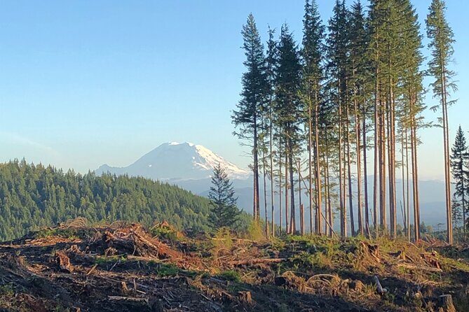 Private Adventure Mountain Biking in Seattle's Eastside - The Experience: A Closer Look at the Trail Adventure