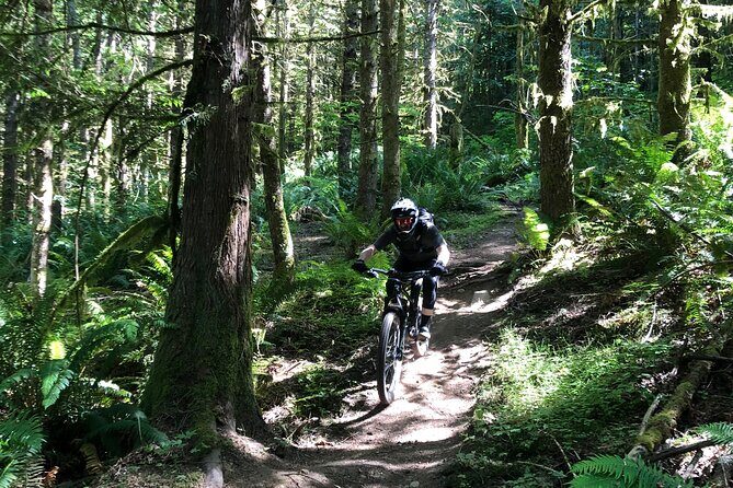 Private Adventure Mountain Biking in Seattle's Eastside - The Trail and the Guide: Why It Matters