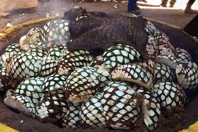 Private Adventure to Tequila and el Cascahuin Distillery - An Authentic and Luxurious Day in Tequila Country