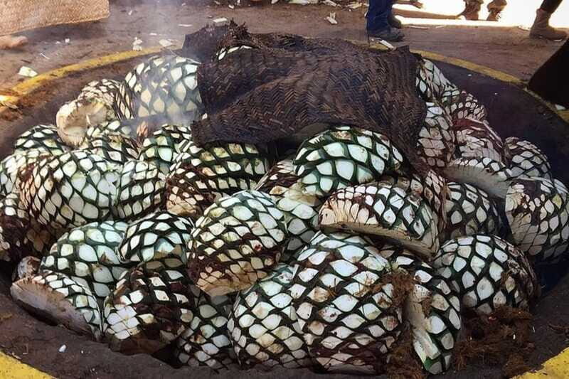 Private Adventure to Tequila and el Cascahuin Distillery - FAQs