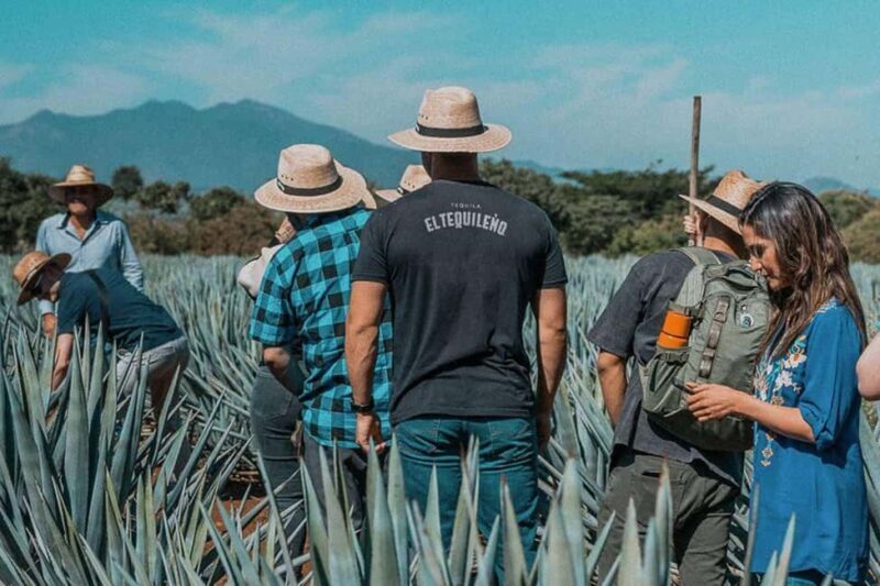 Private Adventure to Tequila and Tequila El Tequileño - An In-Depth Look at the Tequila Tour Experience