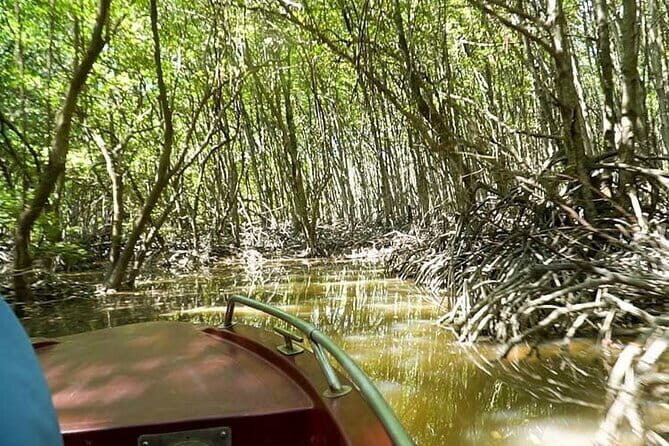 Private Adventure to Vam Sat Mangrove and Wildlife - Key Points