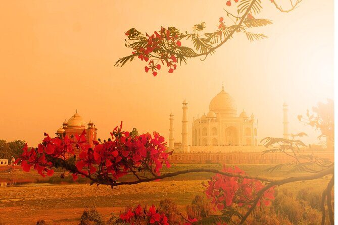Private Agra Taj Mahal Tour by Car from Delhi - Authentic Touches: What Travelers Say