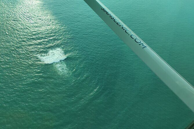 Private Air Charter Transfer from Bangkok to Pattaya - An In-Depth Look at the Private Flight Experience