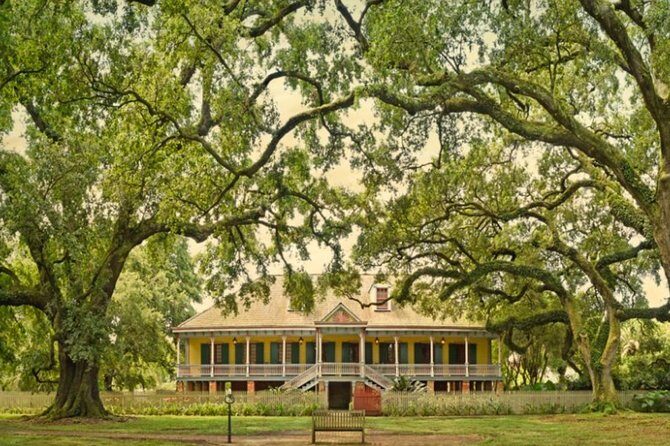 Private Airboat Ride and Plantations Tour with Gourmet Lunch from New Orleans - Things to Keep in Mind