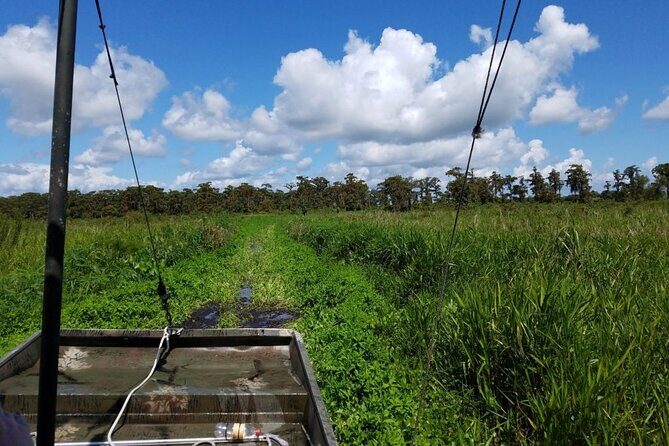 Private Airboat Swamp Tour - The Itinerary and What to Expect