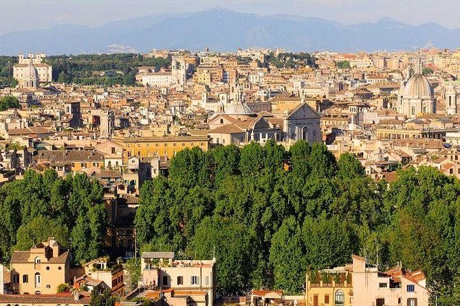 Private Airport Pick-Up + Rome Tour + Transfer to Civitavecchia - In The Sum Up