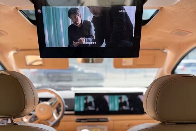 Private Airport Pickup Service from Chengdu Shuangliu - Vehicle Options and Comfort