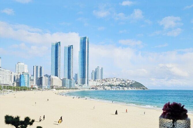 Private Airport, Train Station & Hotel Transfer Service in Busan - An In-Depth Look at the Service