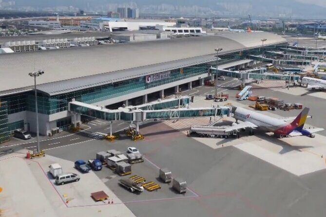 Private Airport, Train Station & Hotel Transfer Service in Busan - Why Choose This Transfer Service?