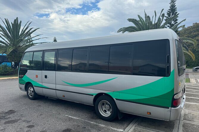 Private Airport Transfer from MBJ to Ocean Eden Bay - A Breakdown of the Experience