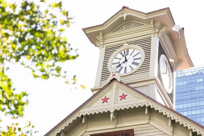 Private Airport Transfer from New Chitose Airport(CTS) - Who Will Appreciate This Service?