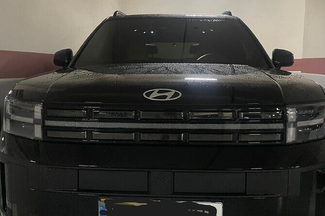 Private Airport Transfer from/to Incheon Airport to/from Seoul - Key Points