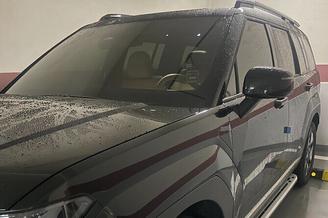 Private Airport Transfer from/to Incheon Airport to/from Seoul - Who Should Book This Transfer?