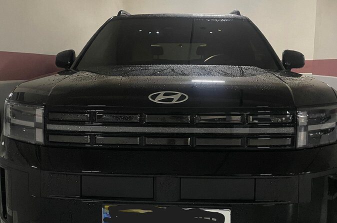 Private Airport Transfer from/to Incheon Airport to/from Seoul - Final Thoughts