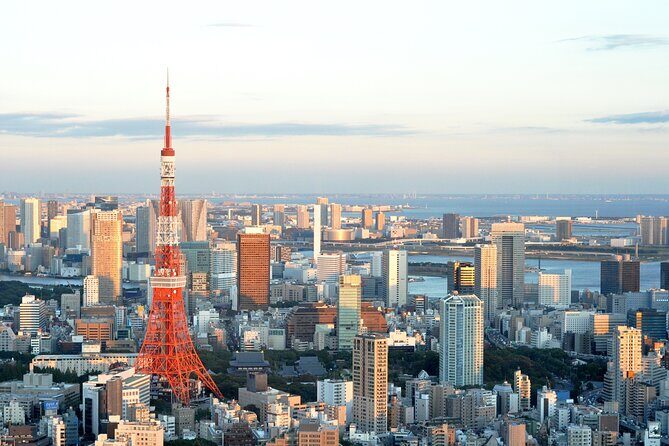 Private Airport transfer Haneda Airport(HND) to Tokyo City - An Overview of the Experience