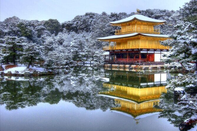 Private Airport transfer Kansai Intl. Airport(KIX) to OSAKA CITY - Who Should Consider This Transfer?