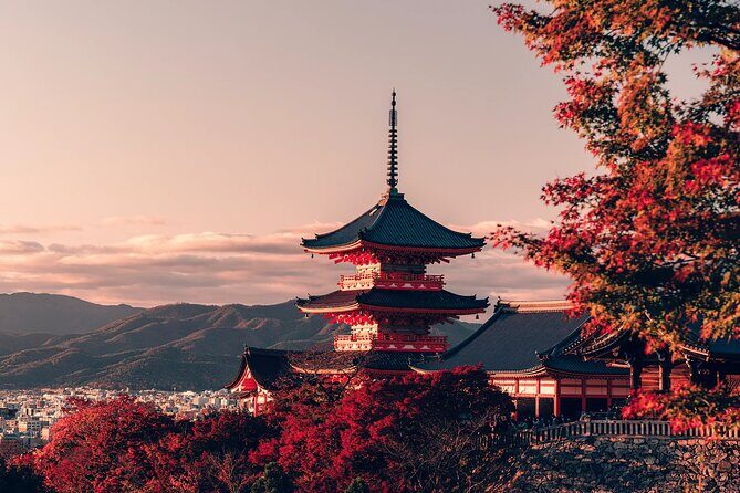 Private Airport transfer Kansai Intl. Airport(KIX) to OSAKA CITY - Frequently Asked Questions