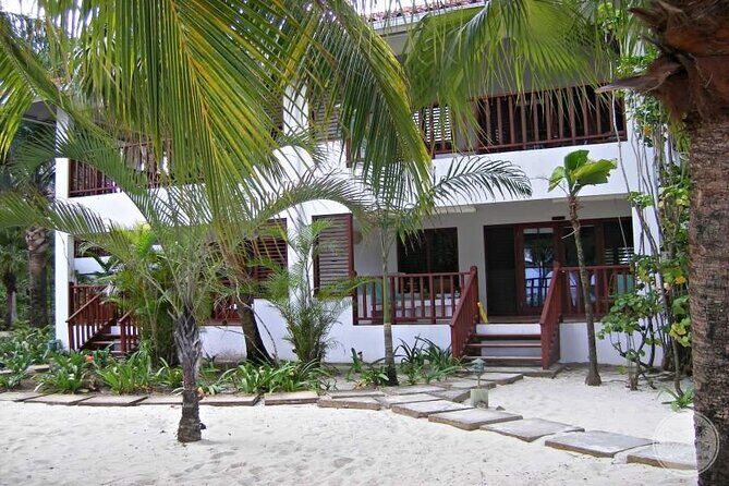 Private Airport Transfer to Couples Swept Away Negril - What to Expect from Your Transfer