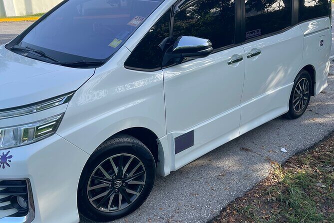 Private Airport Transfer to Grand Bahia Principe - The Practicalities