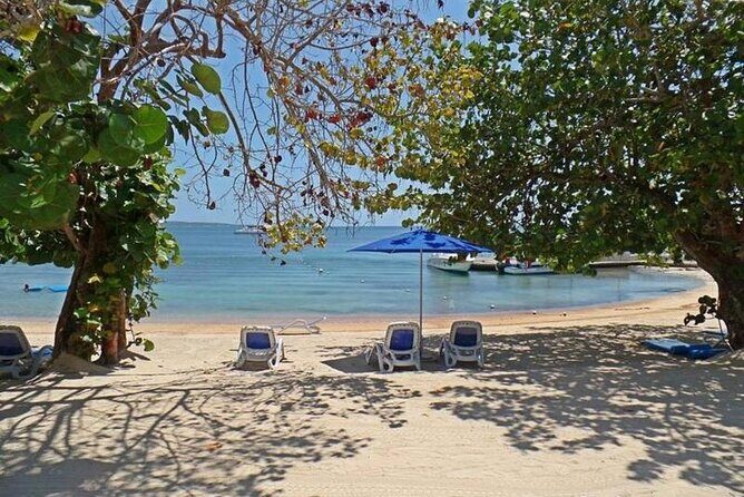 Private Airport Transfer to Hedonism ll Resort - Introduction