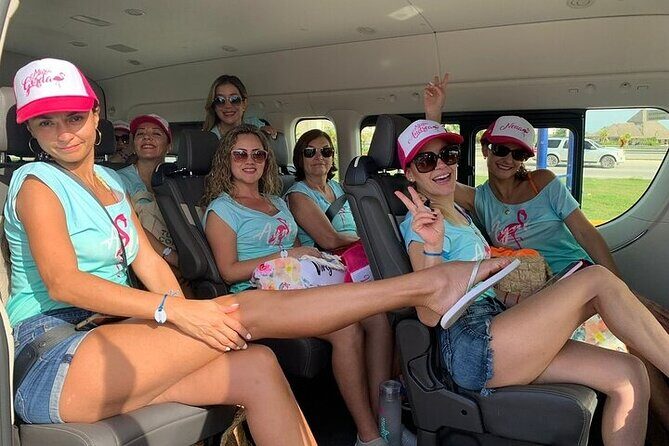 Private Airport Transfer to or from Uvero Alto and Punta Cana - The Itinerary in Detail