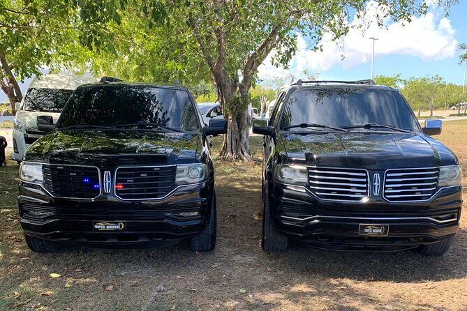 Private Airport Transfer to Punta Cana - The Sum Up: Who Should Consider This?