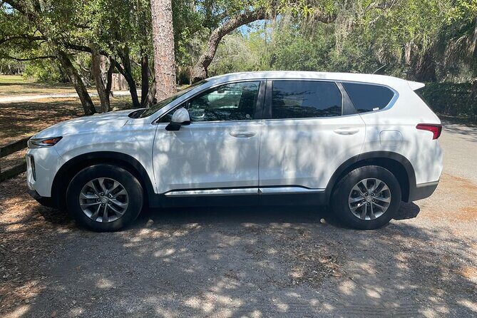 Private Airport Transfer to Rio Grande - Final Thoughts: Who Is This Transfer Best For?