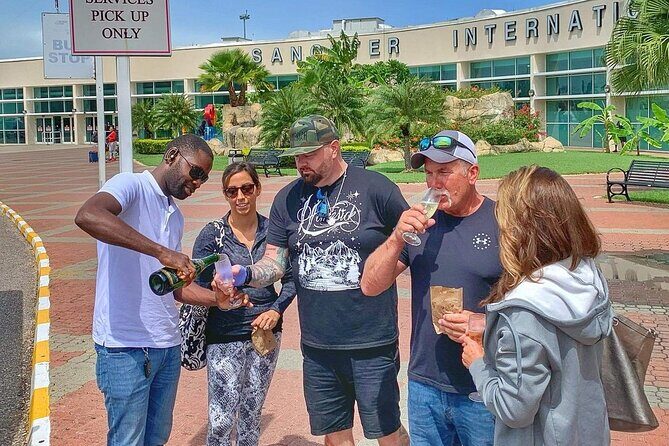 Private Airport Transfer to Royalton, Ocean Coral Spring & Excellence Oyster Bay - Who Is This Tour Best Suited For?