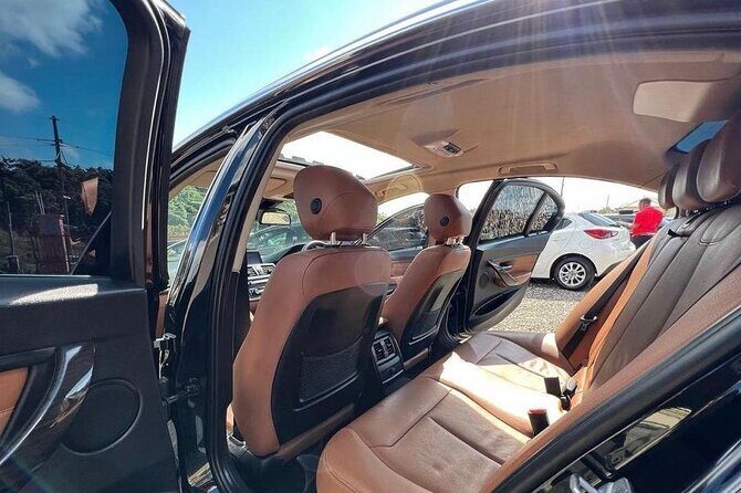 Private Airport Transfer to Trelwany Hotels in Jamaica - How This Transfer Works