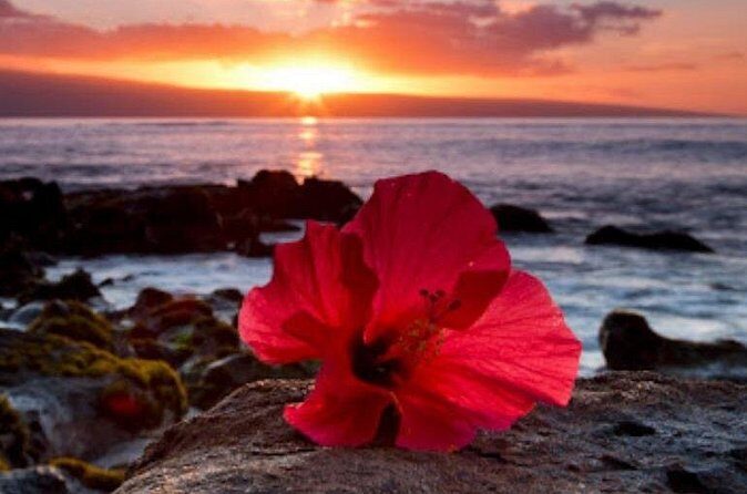 Private Airport Transfer to Waikoloa Resorts Private Residence - A Closer Look at the Experience