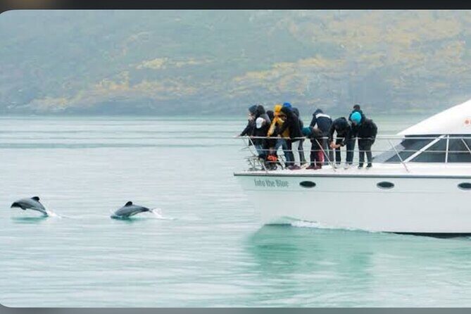 Private Akaroa Day Tour From Christchurch - Exploring Akaroa: A French-Inspired Delight