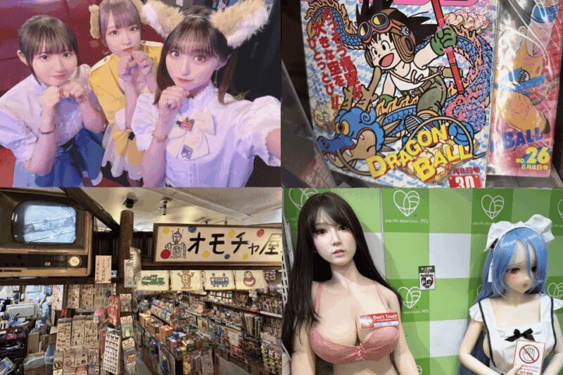 Private Akihabara Anime Game Maid Cafe Tour w/ free pickup - Authentic Experiences Backed by Positive Reviews