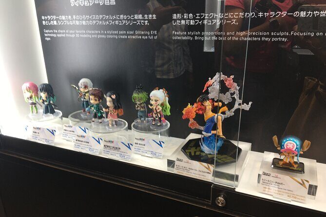 Private Akihabara Anime Guided Walking Tour - Who Should Consider This Tour?
