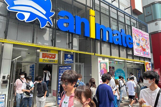 Private Akihabara Anime Guided Walking Tour - Final Thoughts