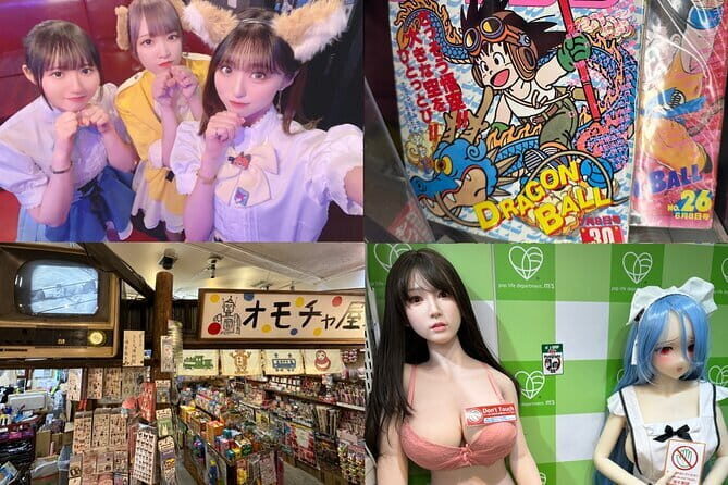 Private Akihabara Retro Tokyo Anime Game Maid Cafe Tour w/ pickup - Key Points