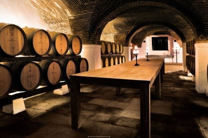 Private Alentejo Wine Tour & Évora Heritage from Lisbon - The Experience: What to Expect