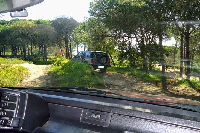 Private Algarve Tour with Typical Lunch, pax min. 2. - The Full Itinerary: What to Expect