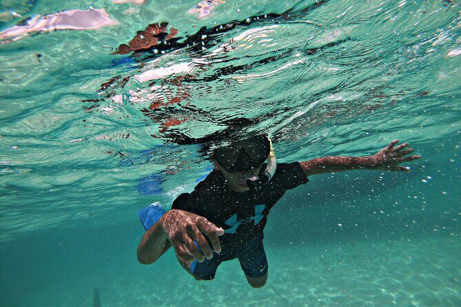 Private All-Inclusive 22ft Boat Guided Snorkeling Icacos Palomino - Who Will Enjoy This Tour Most?