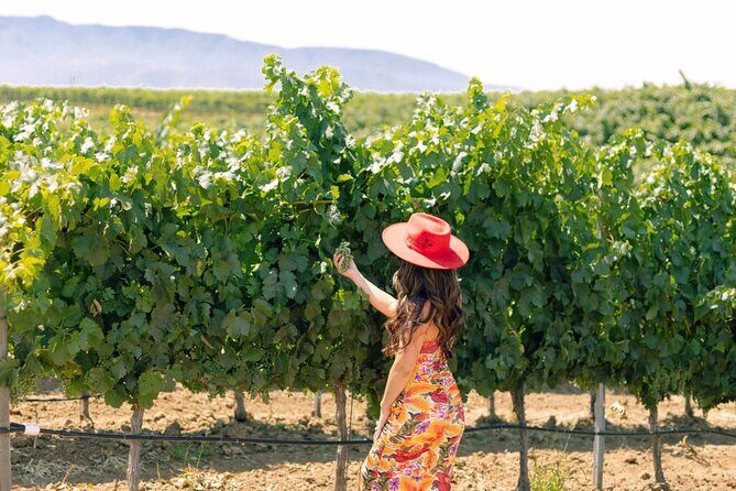 Private All-Inclusive 3-Winery SYV Tour from Santa Barbara - Introduction