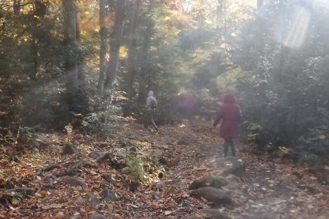 Private All-Inclusive Algonquin Tours (3 Day Guided Camping) - Value for the Price