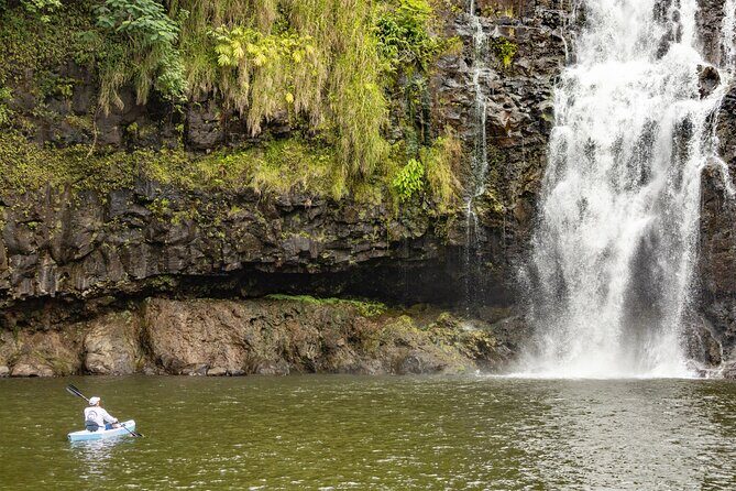 Private - All Inclusive Big Island Waterfalls Tour - Authentic Feedback from Past Travelers