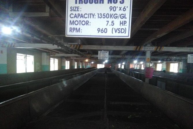 Private all inclusive Day tour Kandy, Pinnawala, & your own selected attractions - The Final Leg and Return to Negombo