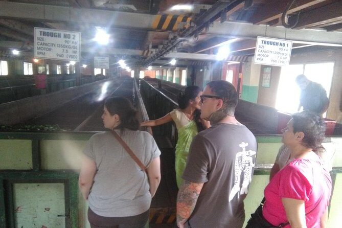 Private all inclusive Day tour Kandy, Pinnawala, & your own selected attractions - Final Thoughts